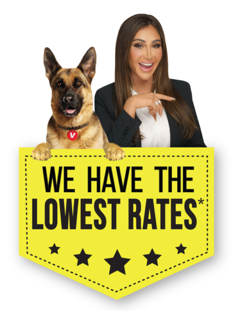 Veronica's Insurance auto insurance. Get a quote now!