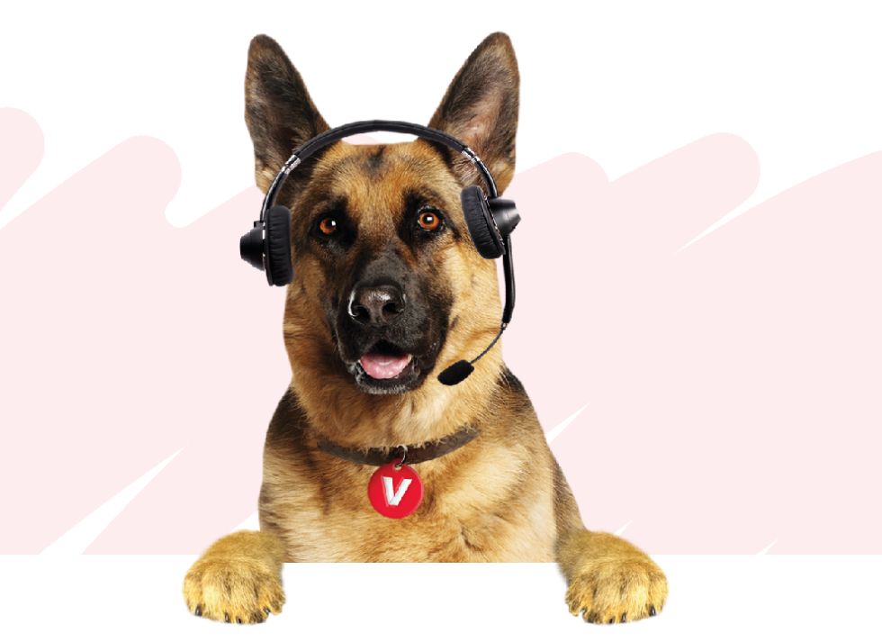 Veronica's Insurance | The protection you need