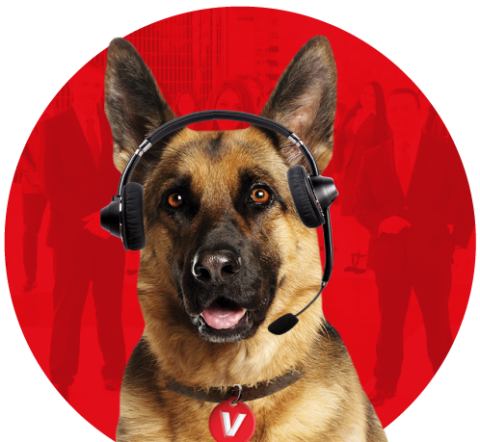 Auto Insurance - Veronica's Insurance | The Protection You Need Starts Here