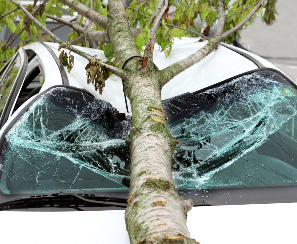 Auto Insurance - Veronica's Insurance | Auto Insurance | Aseguranzas