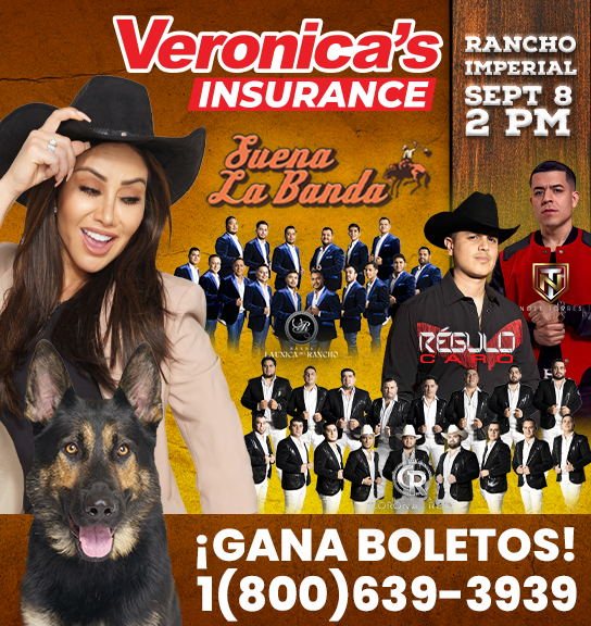 Veronica's Insurance auto insurance. Get a quote now!