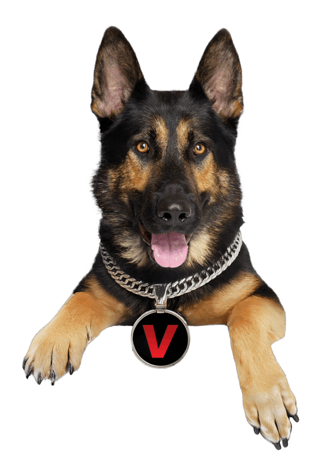 Veronica's Insurance | The Protection You Need Starts Here